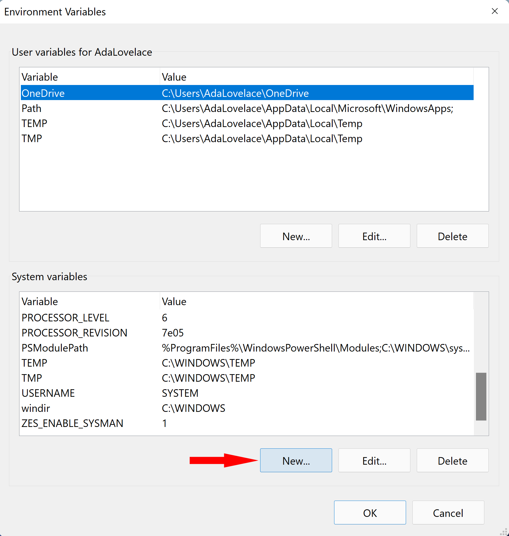 Configure the proxy with system wide environment variables