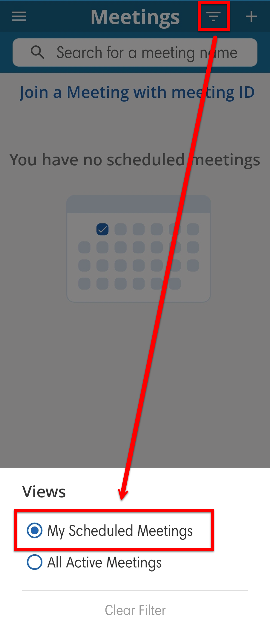 CoreNexa Mobile App - Meetings